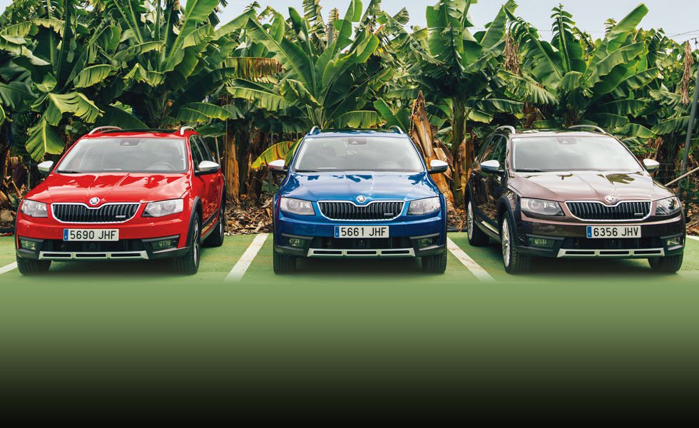 Gama Skoda 4x4. Apuesta integral por la tracción - Motor 16